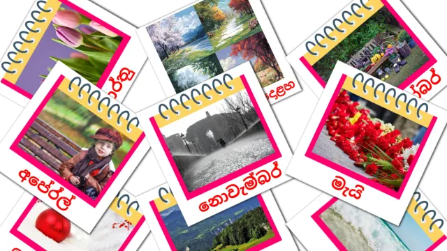 10 FREE Counting Flashcards | PDF | Sinhala Words