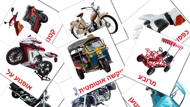 1300+ FREE Hebrew Flashcards | PDF | Picture Vocabulary