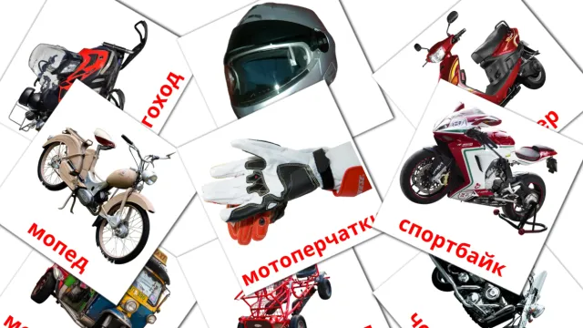 1300+ FREE Russian Flashcards | PDF | Picture Vocabulary