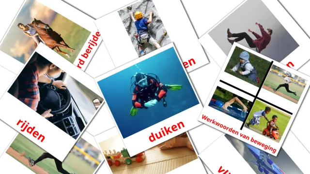33 FREE Routine verbs Flashcards in PDF | Dutch Pictures