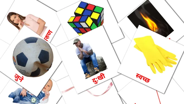 1300+ FREE Marathi Flashcards | PDF | Picture Vocabulary