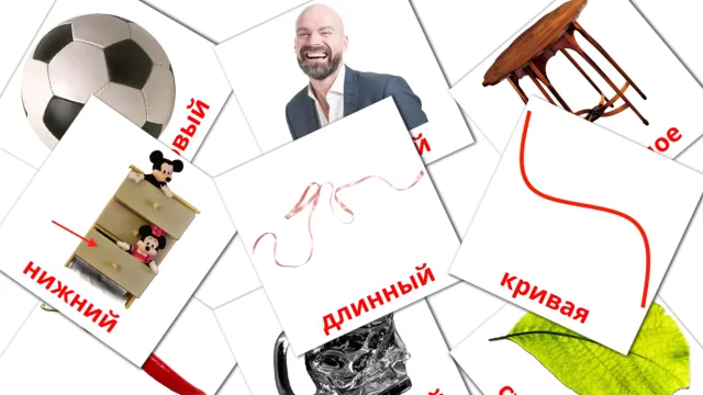 19 FREE Movement verbs Flashcards | PDF | Russian Words