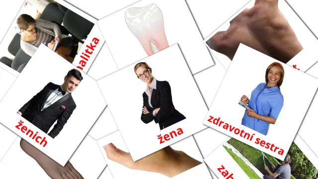 1300+ FREE Czech Flashcards | PDF | Picture Vocabulary