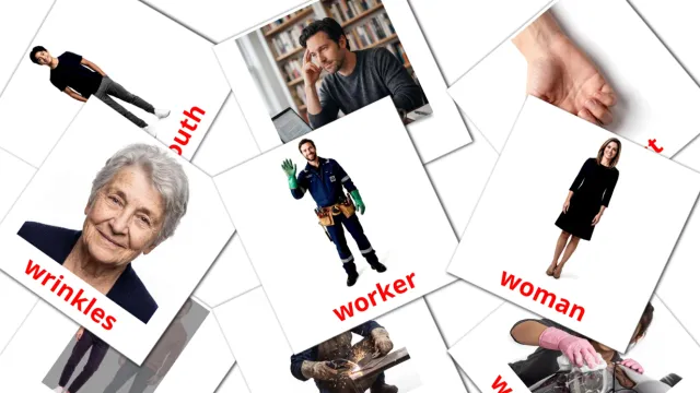 1300+ FREE English Flashcards | PDF | Picture Vocabulary