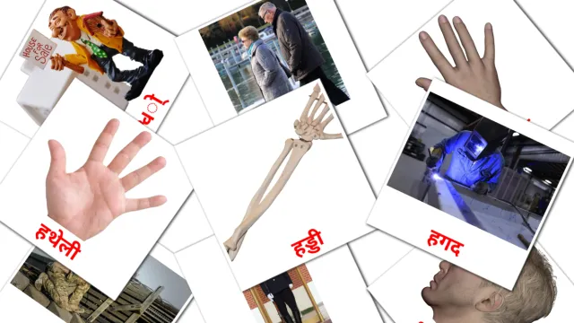 1300+ FREE Hindi Flashcards | PDF | Picture Vocabulary