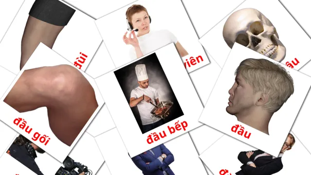 1300+ FREE Vietnamese Flashcards | PDF | Picture Vocabulary