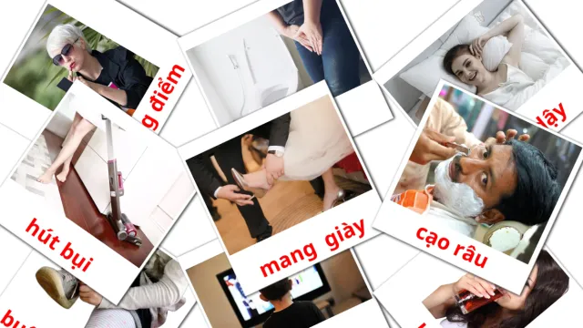 23 FREE State verbs Flashcards | PDF | Vietnamese Words