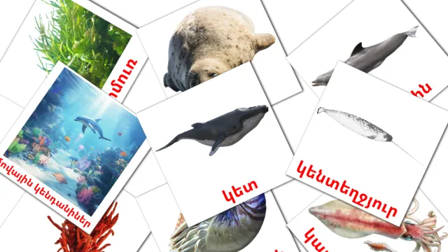 29 FREE Sea animals Flashcards | PDF | English Words