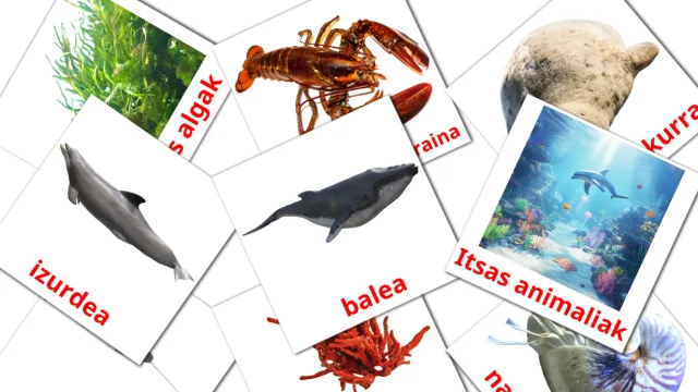 1300+ FREE Basque Flashcards | PDF | Picture Vocabulary
