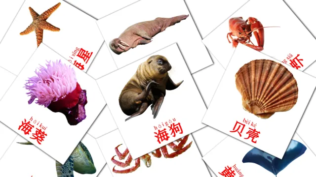10 FREE Domestic animals Flashcards | PDF | Chinese(Simplified) Words