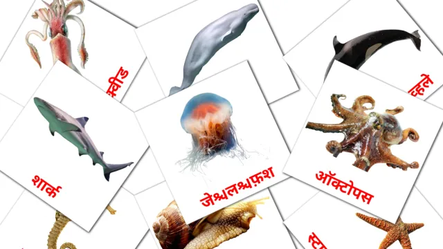 1300+ FREE Hindi Flashcards | PDF | Picture Vocabulary