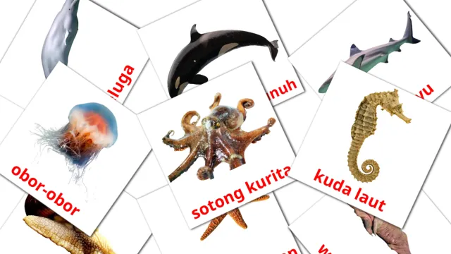 1300+ FREE Malay Flashcards | PDF | Picture Vocabulary