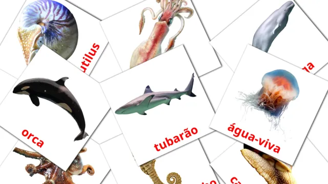 1300+ FREE Portuguese Flashcards | PDF | Picture Vocabulary
