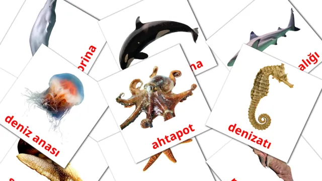 10 FREE Domestic animals Flashcards | PDF | Turkish Words