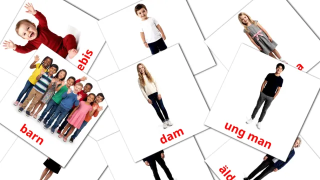 26 FREE Body Parts Flashcards | PDF | Swedish Words