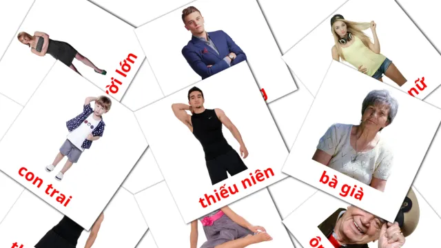 1300+ FREE Vietnamese Flashcards | PDF | Picture Vocabulary
