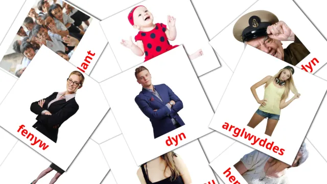 1300+ FREE Welsh Flashcards | PDF | Picture Vocabulary