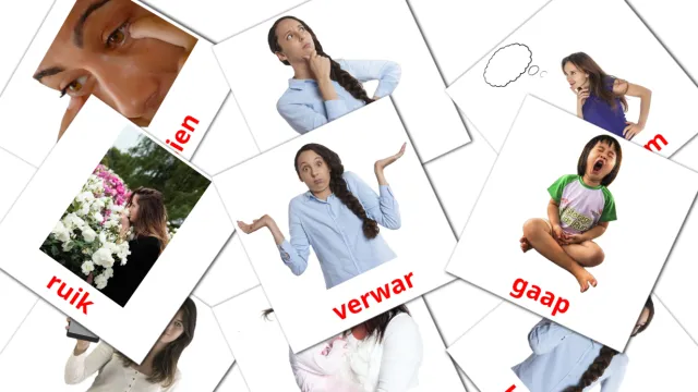 23 FREE State verbs Flashcards | PDF | English Words