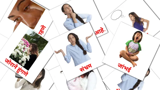 1300+ FREE Marathi Flashcards | PDF | Picture Vocabulary