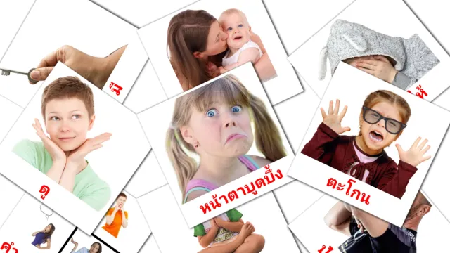 33 FREE Routine verbs Flashcards | PDF | Thai Words