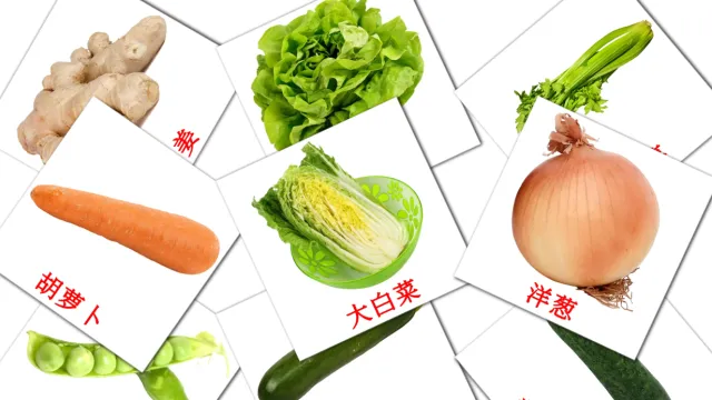 1300+ FREE Chinese(Simplified) Flashcards | PDF | Picture Vocabulary