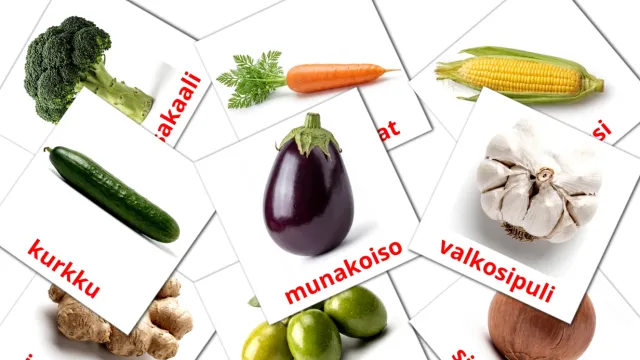 1300+ FREE Finnish Flashcards | PDF | Picture Vocabulary