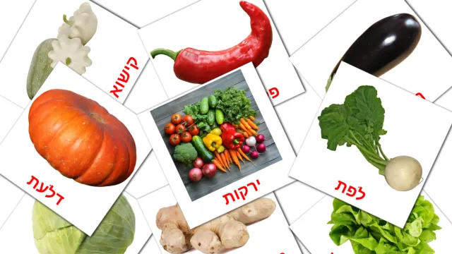 1300+ FREE Hebrew Flashcards | PDF | Picture Vocabulary