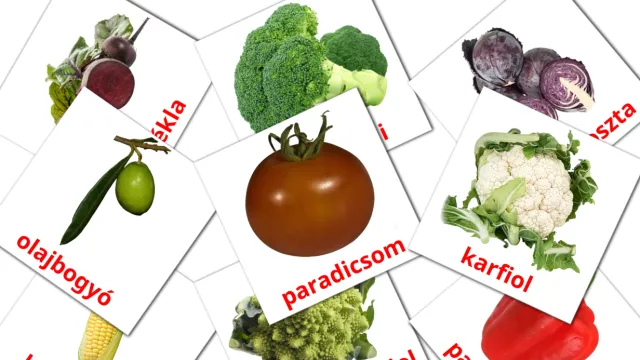 1300+ FREE Hungarian Flashcards | PDF | Picture Vocabulary