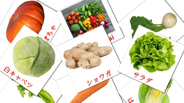 1300+ FREE Japanese Flashcards | PDF | Picture Vocabulary
