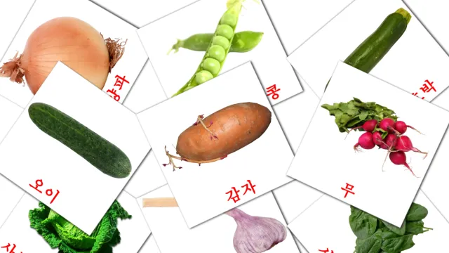 1300+ FREE Korean Flashcards | PDF | Picture Vocabulary