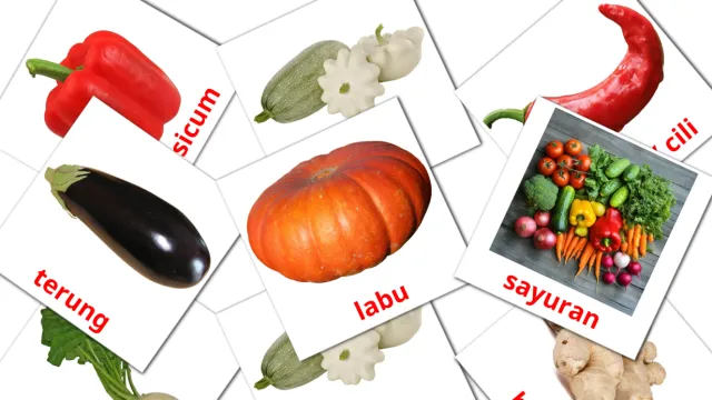 1300+ FREE Malay Flashcards | PDF | Picture Vocabulary