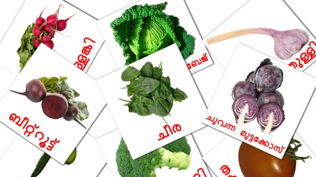 1300+ FREE Malayalam Flashcards | PDF | Picture Vocabulary