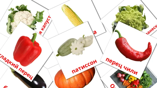 1300+ FREE Russian Vocabulary Flashcards | PDF