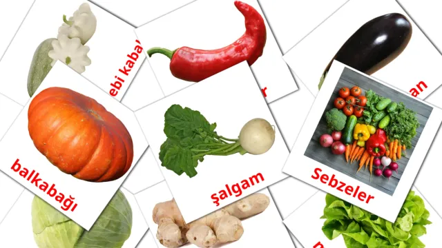 1300+ FREE Turkish Flashcards | PDF | Picture Vocabulary