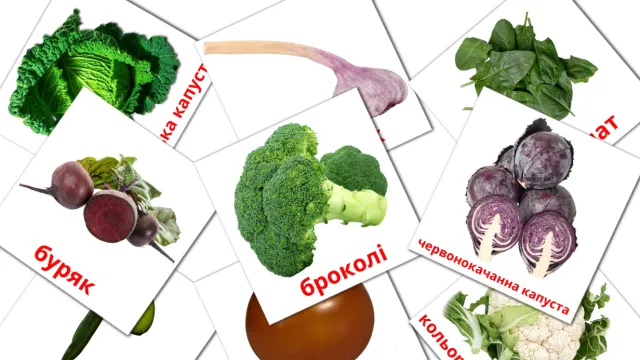 1300+ FREE Ukrainian Flashcards | PDF | Picture Vocabulary