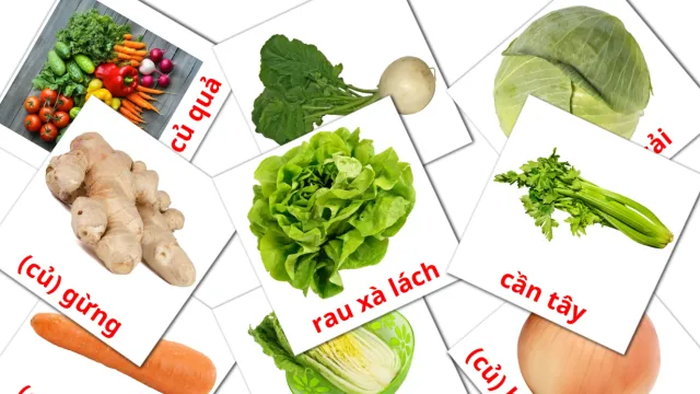1300+ FREE Vietnamese Flashcards | PDF | Picture Vocabulary