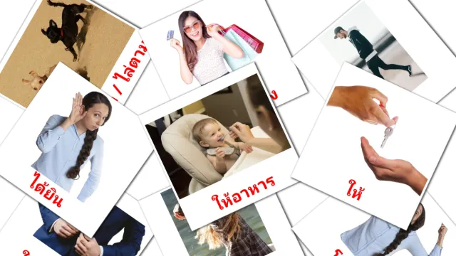 1300+ FREE Thai Flashcards | PDF | Picture Vocabulary