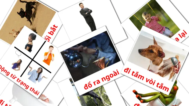 1300+ FREE Vietnamese Vocabulary Flashcards | PDF