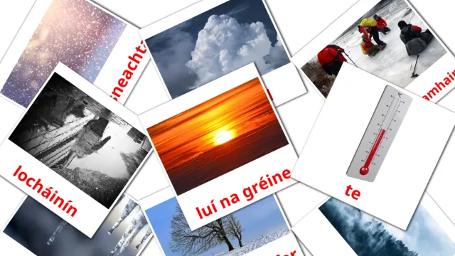 1300+ FREE Irish Flashcards | PDF | Picture Vocabulary