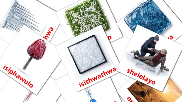 1300+ FREE Zulu Flashcards | PDF | Picture Vocabulary