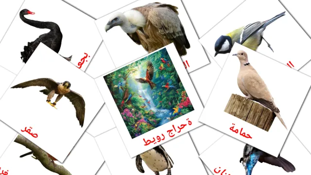 1300+ FREE Arabic Flashcards | PDF | Picture Vocabulary