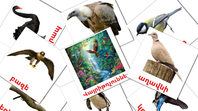 18 FREE Wild birds Flashcards | PDF | English Words
