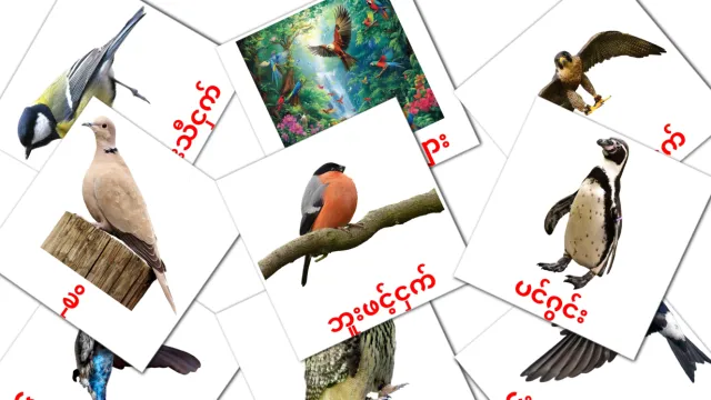 1300+ FREE Burmese Flashcards | PDF | Picture Vocabulary
