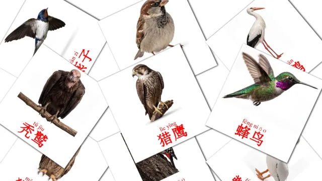 1300+ FREE Chinese(Simplified) Flashcards | PDF | Picture Vocabulary