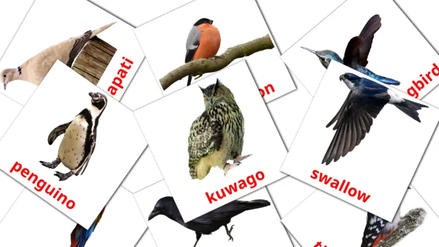 1300+ FREE Filipino Flashcards | PDF | Picture Vocabulary