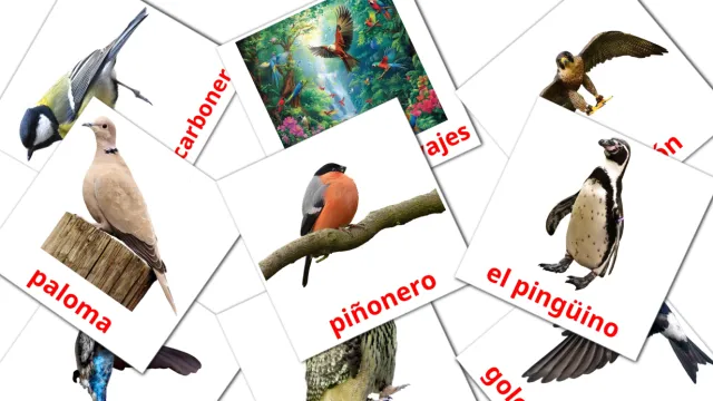 11 FREE Farm birds Flashcards | PDF | Spanish Words