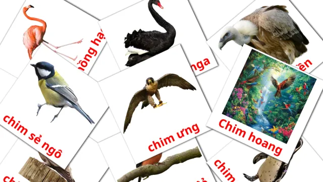1300+ FREE Vietnamese Flashcards | PDF | Picture Vocabulary