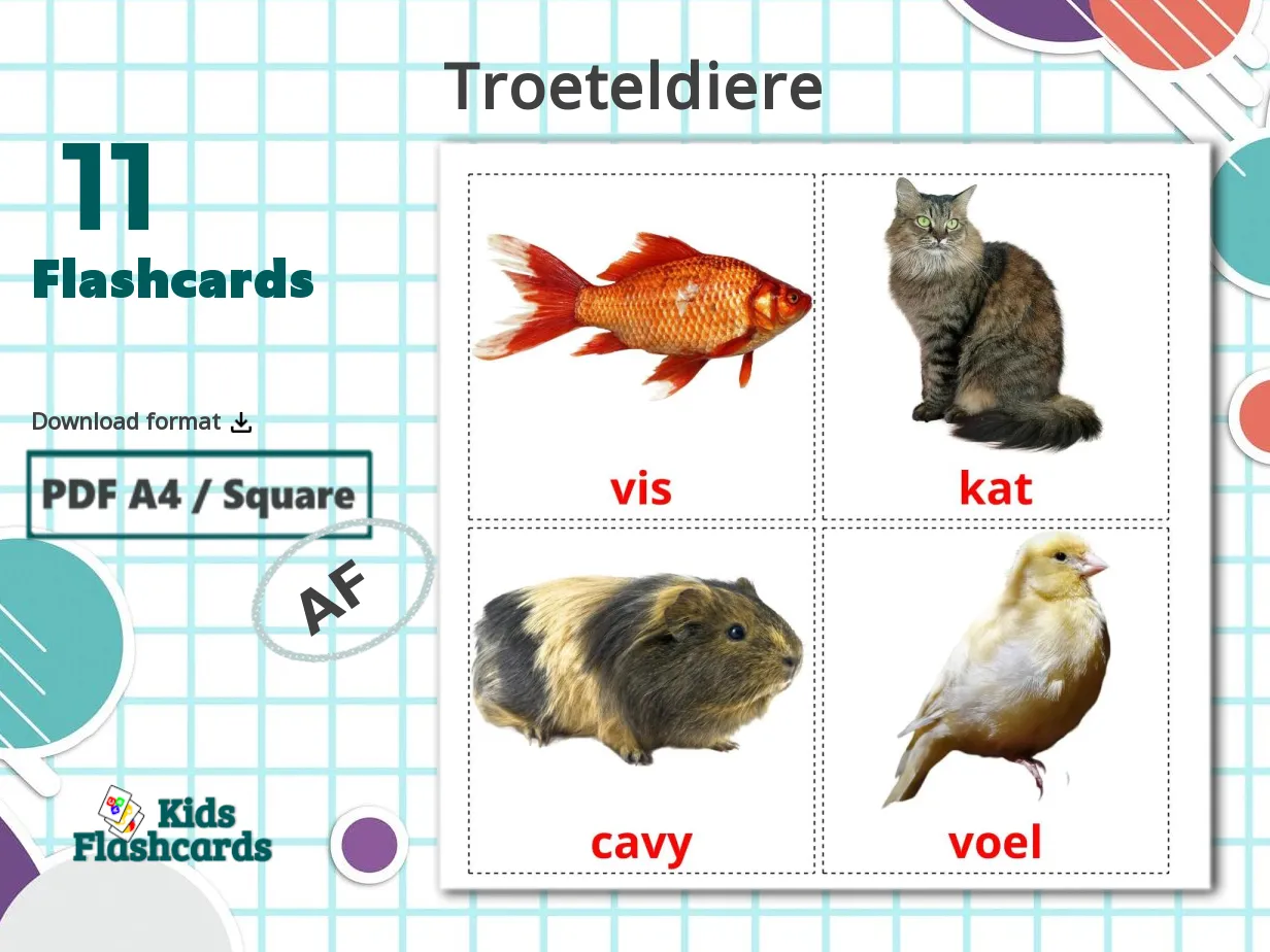 11 Printable Domestic animals Flashcards in Afrikaans (Free PDF)