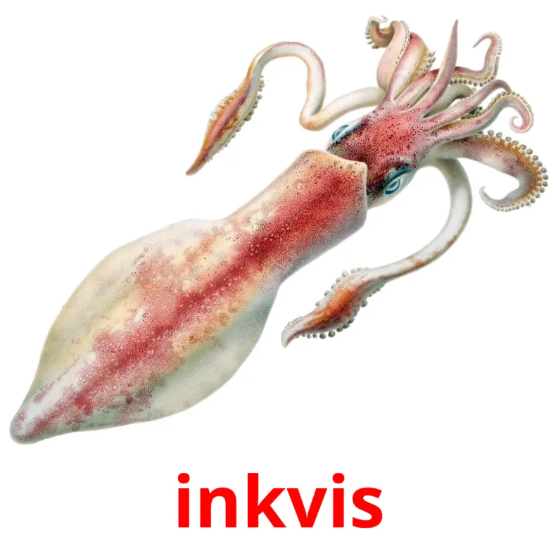 29 Tarjetas de Aprendizaje de Animales Marinos GRATIS en PDF | Imágenes ...