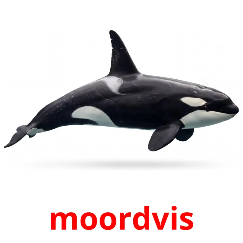 29 Cartões linguagem de Animais Marinhos GRÁTIS em 4 formatos PDF ...